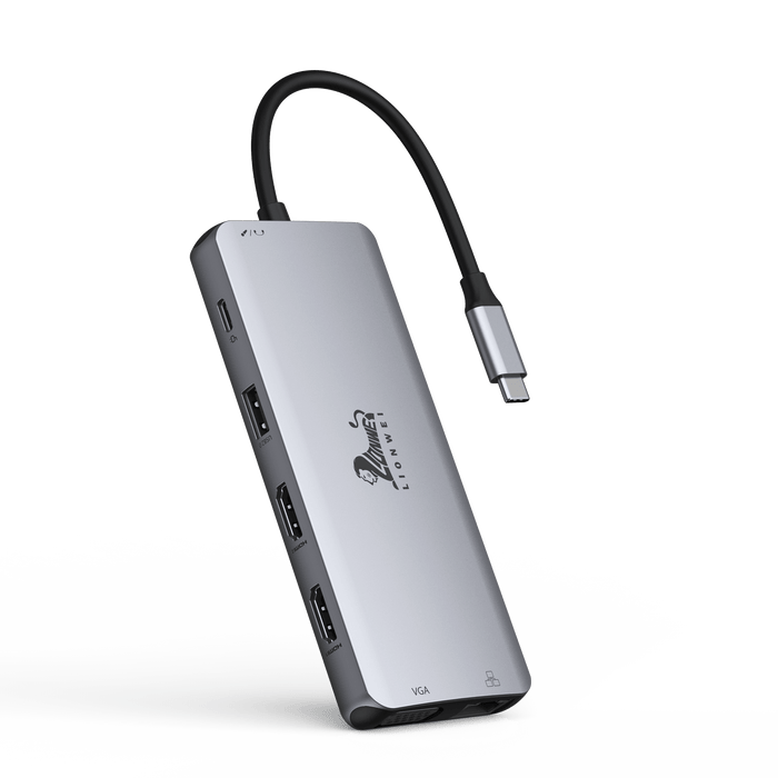 Lionwei USB C to HDMI Hub (11 in 1)